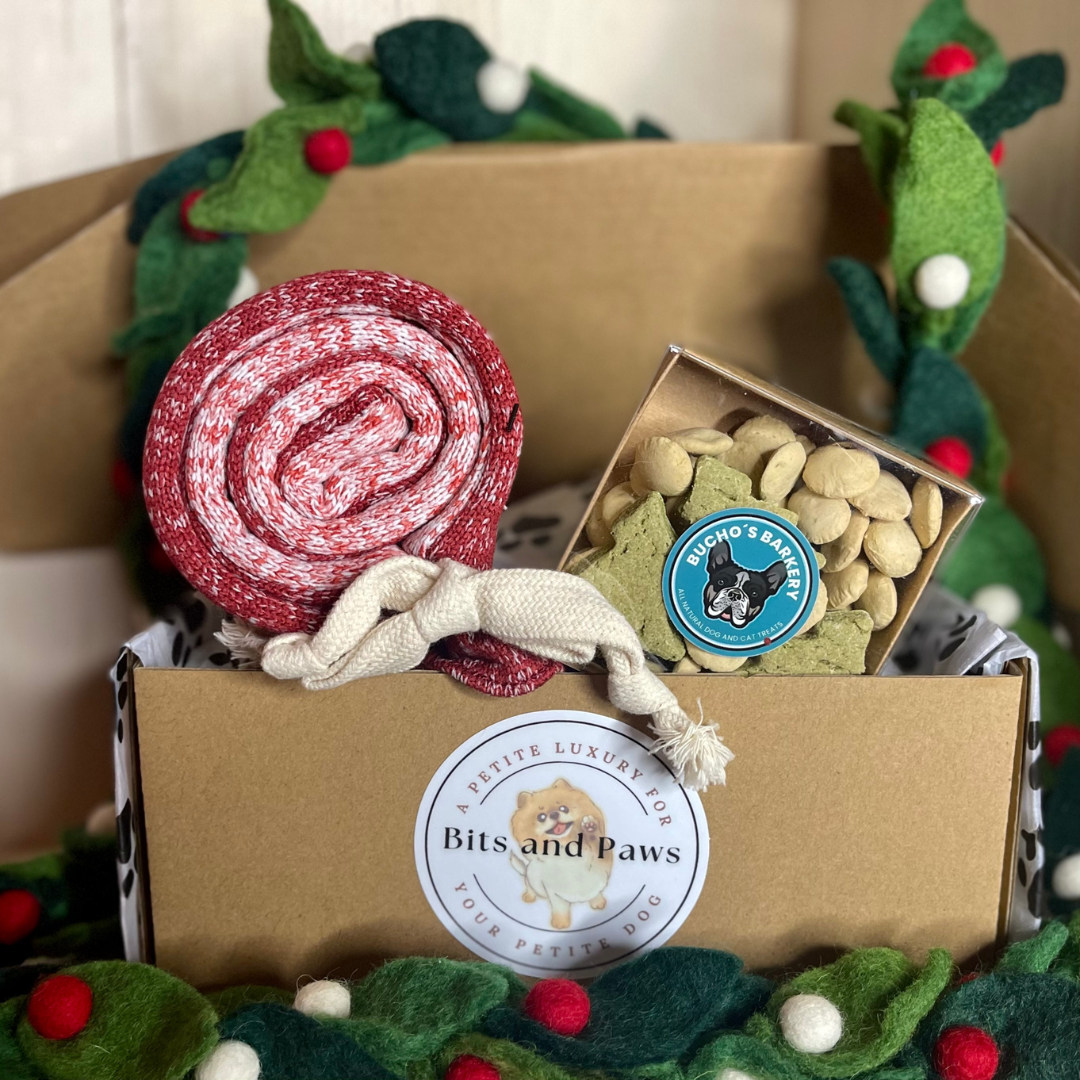 The Petite Paws Box – Bits and Paws