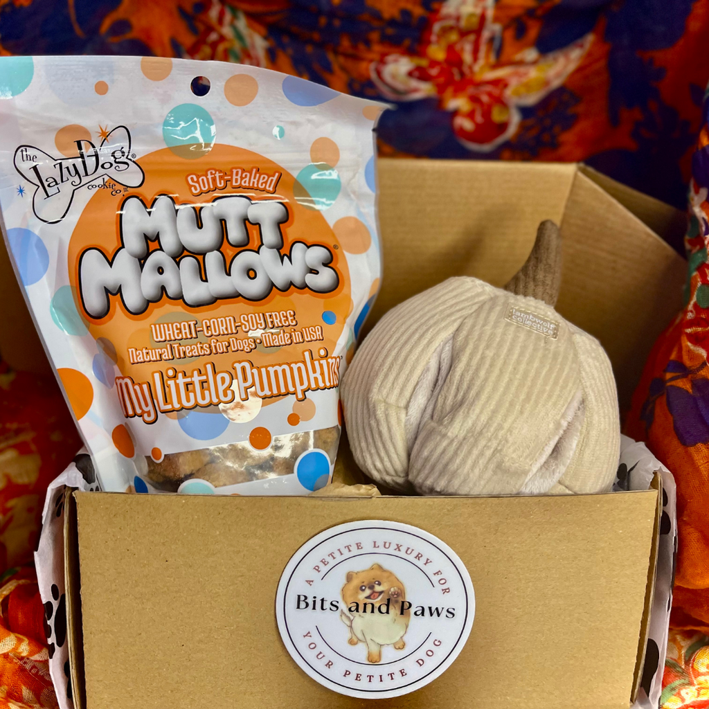 The Petite Paws Box – Bits and Paws